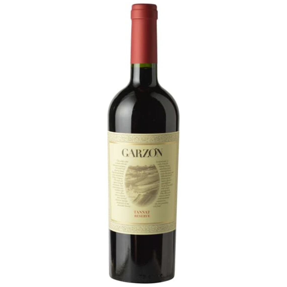 BODEGAS GARZÓN TANNAT RESERVA – Water Street Wines & Spirits